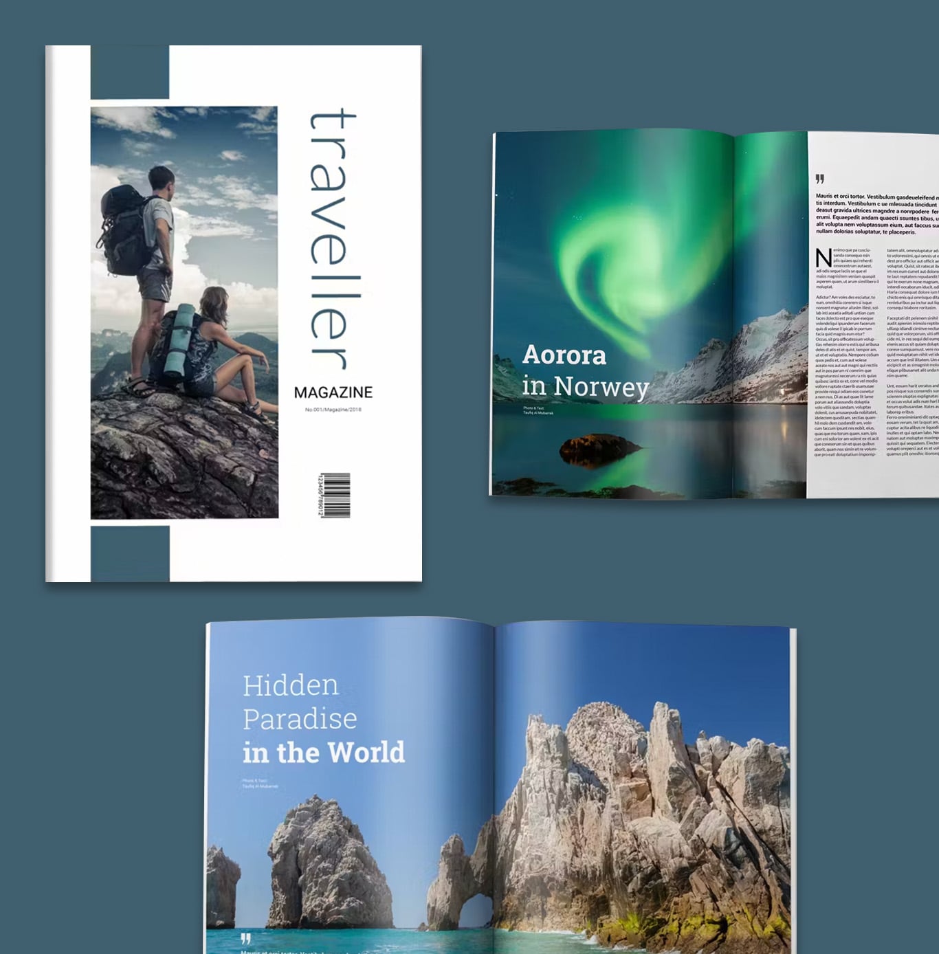 75 Fresh InDesign Templates (and where to find more) | Redokun Blog