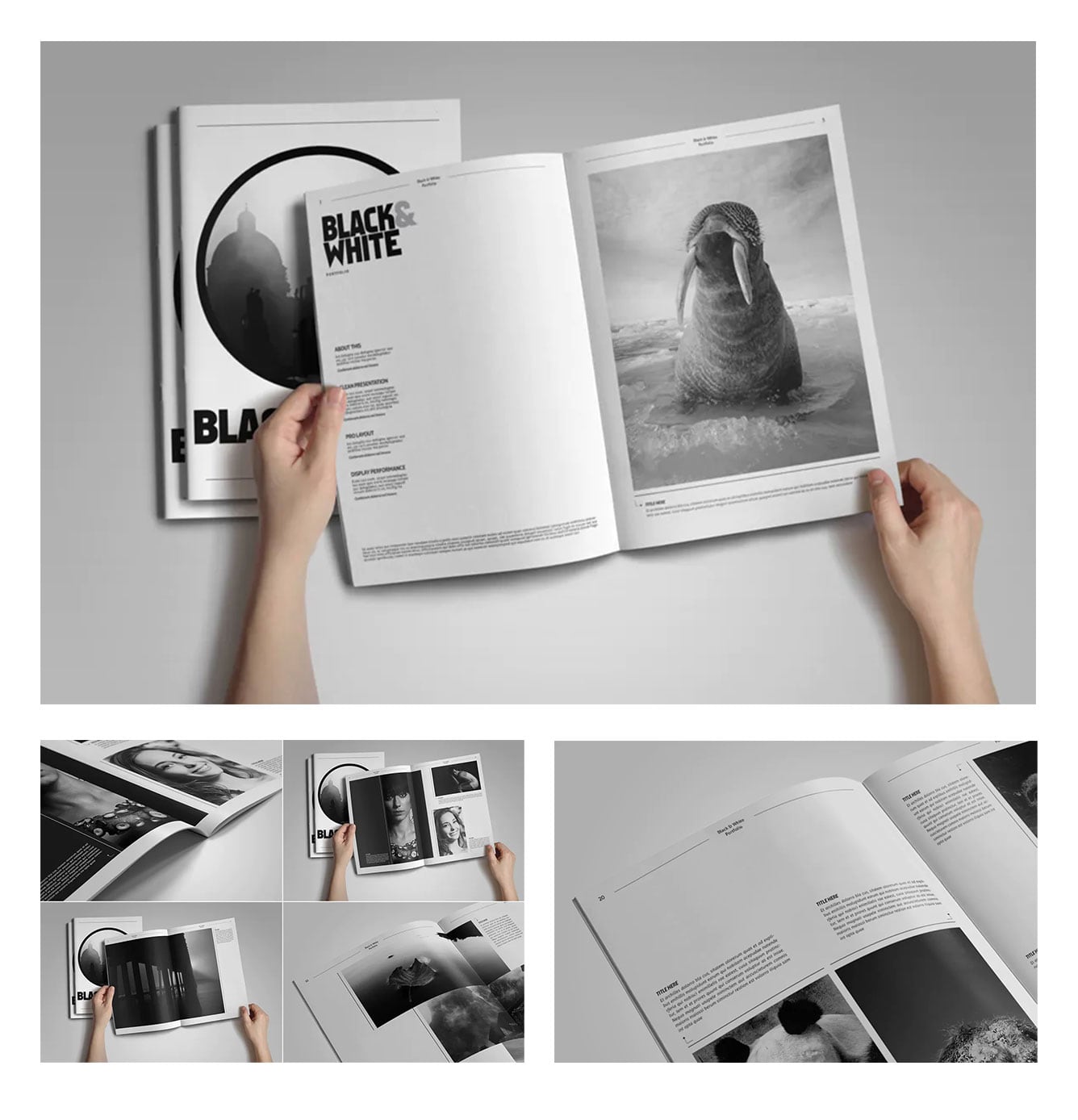 60 Best InDesign Portfolio Templates (2023) | Redokun Blog