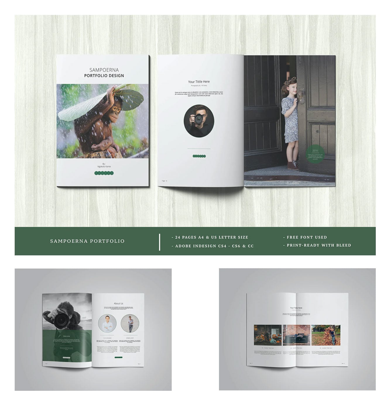 60 Best InDesign Portfolio Templates (2023) | Redokun Blog