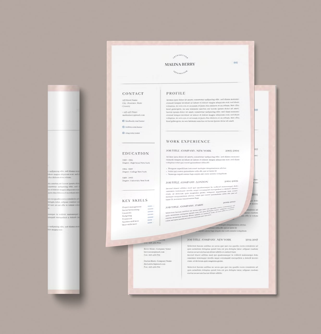 The 100 InDesign Resume Templates You Need in 2023 | Redokun Blog