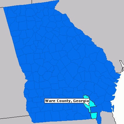 Ware County, Georgia - Redeemable Deed Sale Information