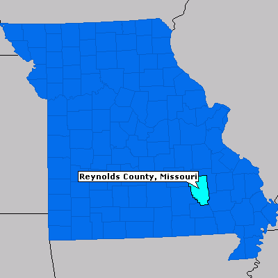 Reynolds County, Missouri - Tax Lien Sale Information