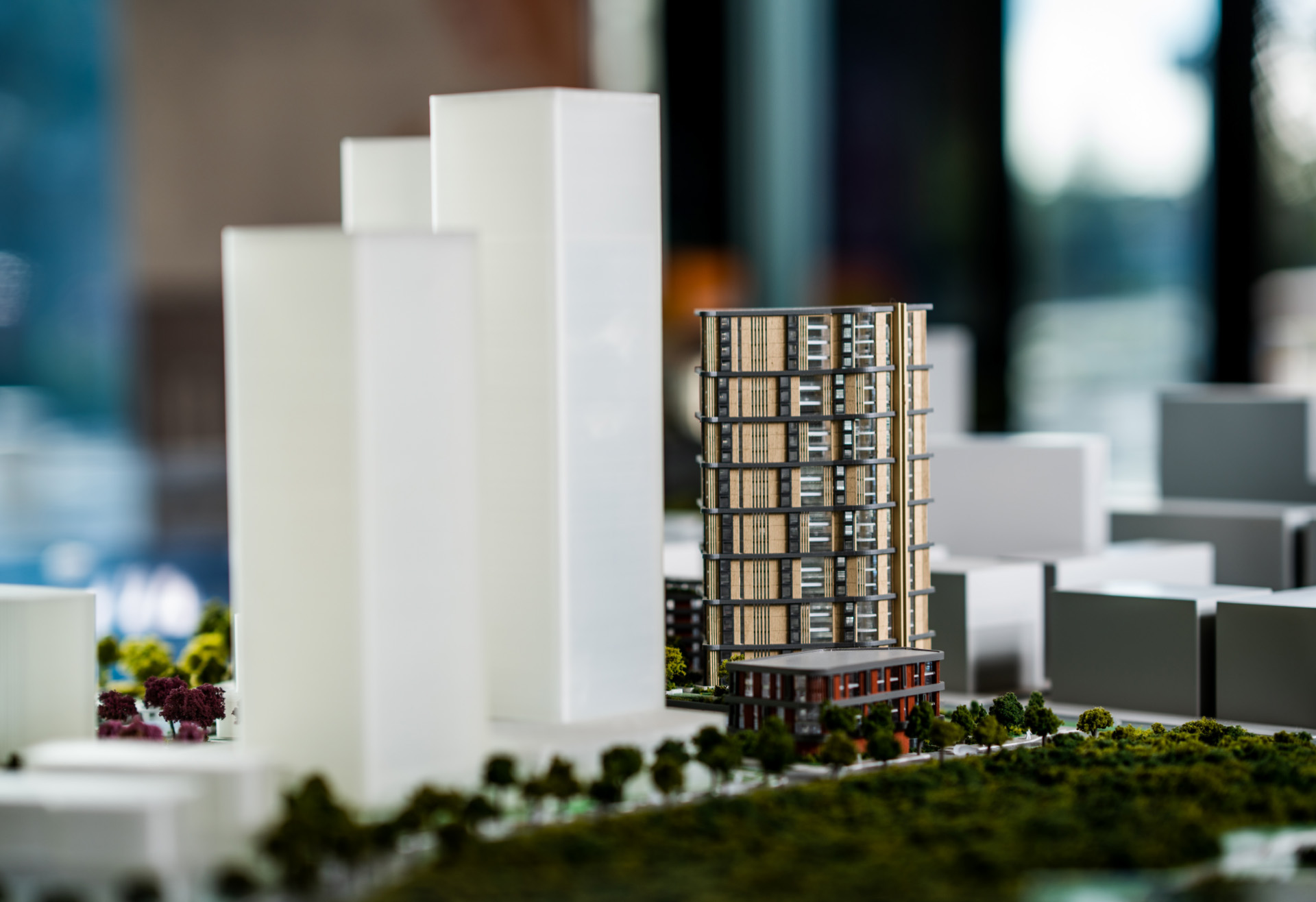 Sanctuary - Masterplan / Community | Works