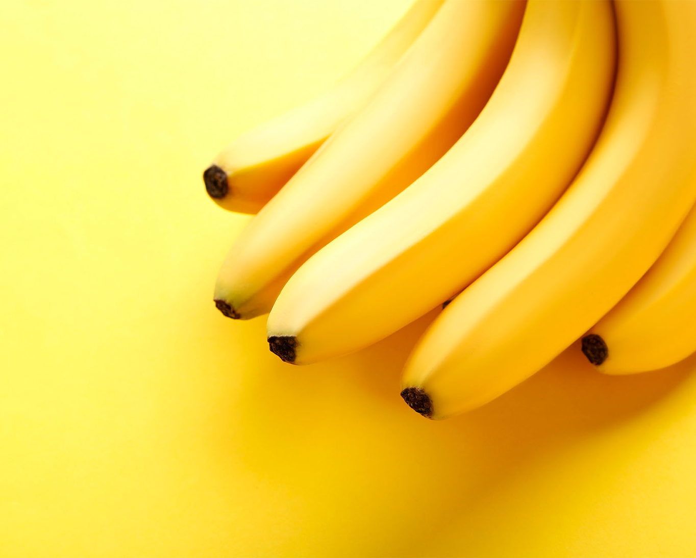 The Good Sort - Brand Elevation | Works