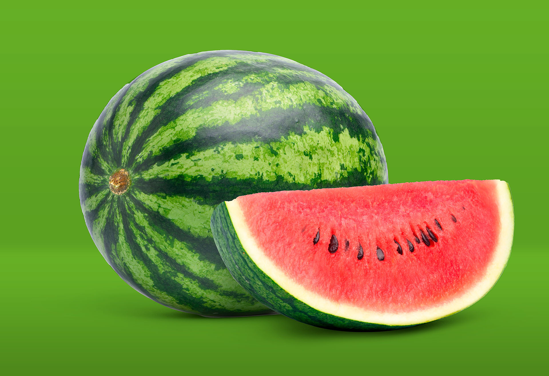 The Good Sort - Brand Elevation | Works