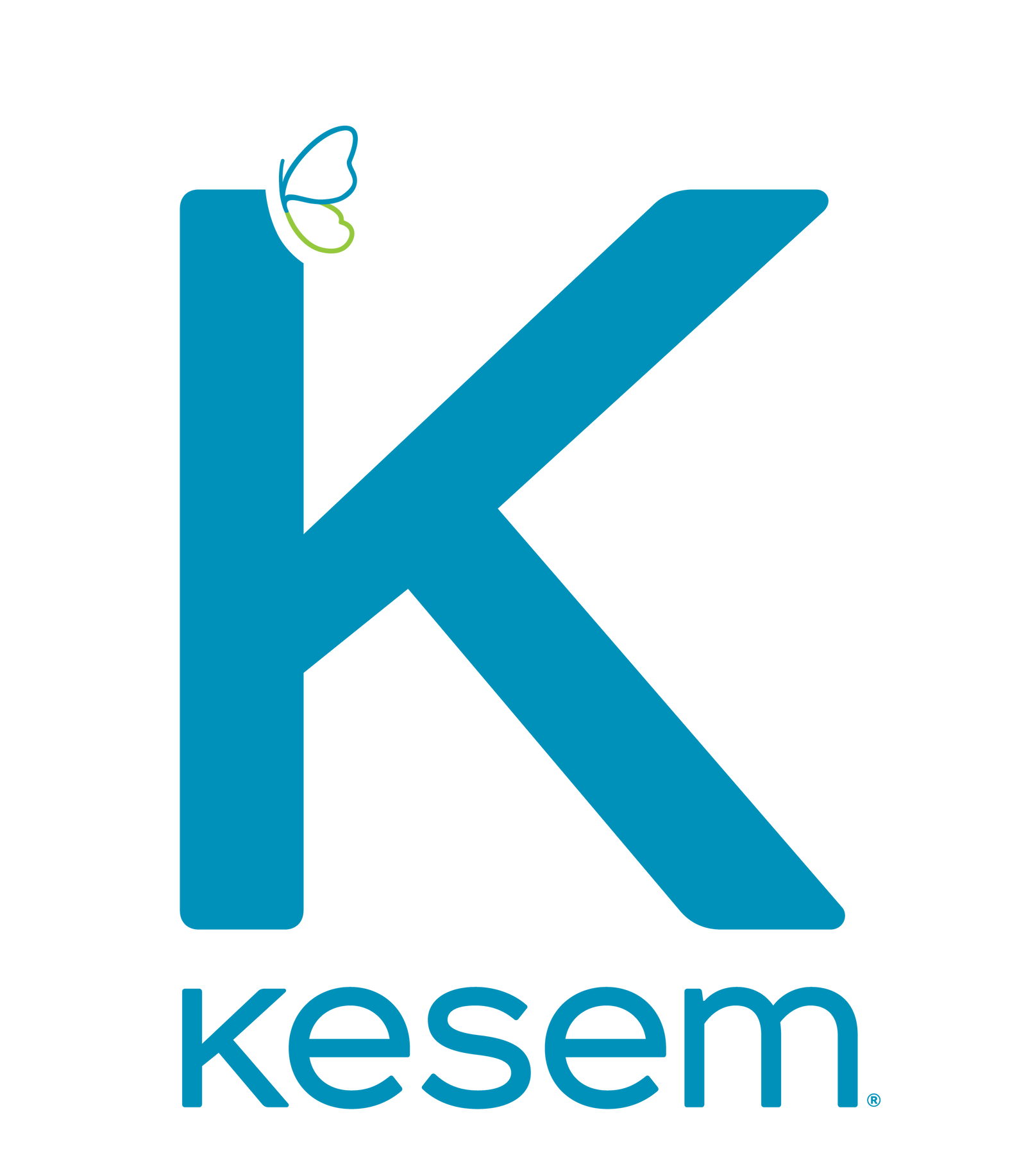 Free, fun support for kids whose parents have cancer | Kesem