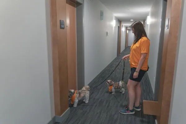 Affordable Dog Walkers | Insured, GPS-Tracked, Private