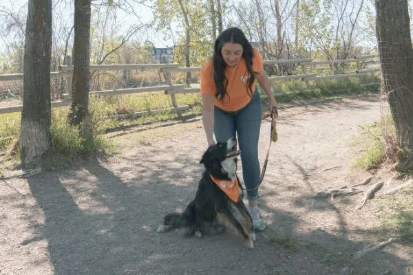 Affordable Dog Walkers | Insured, GPS-Tracked, Private