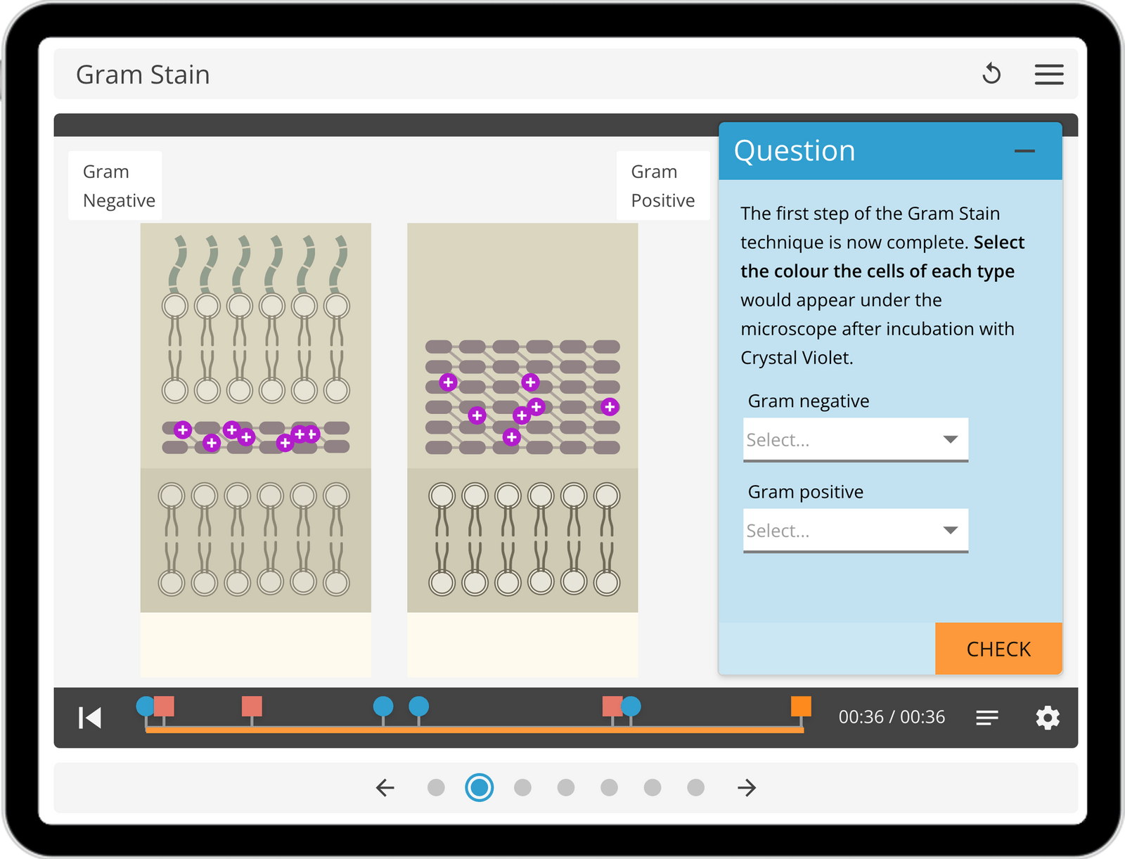 Virtual Lab Simulation Biology & Smart Worksheets - LearnSci