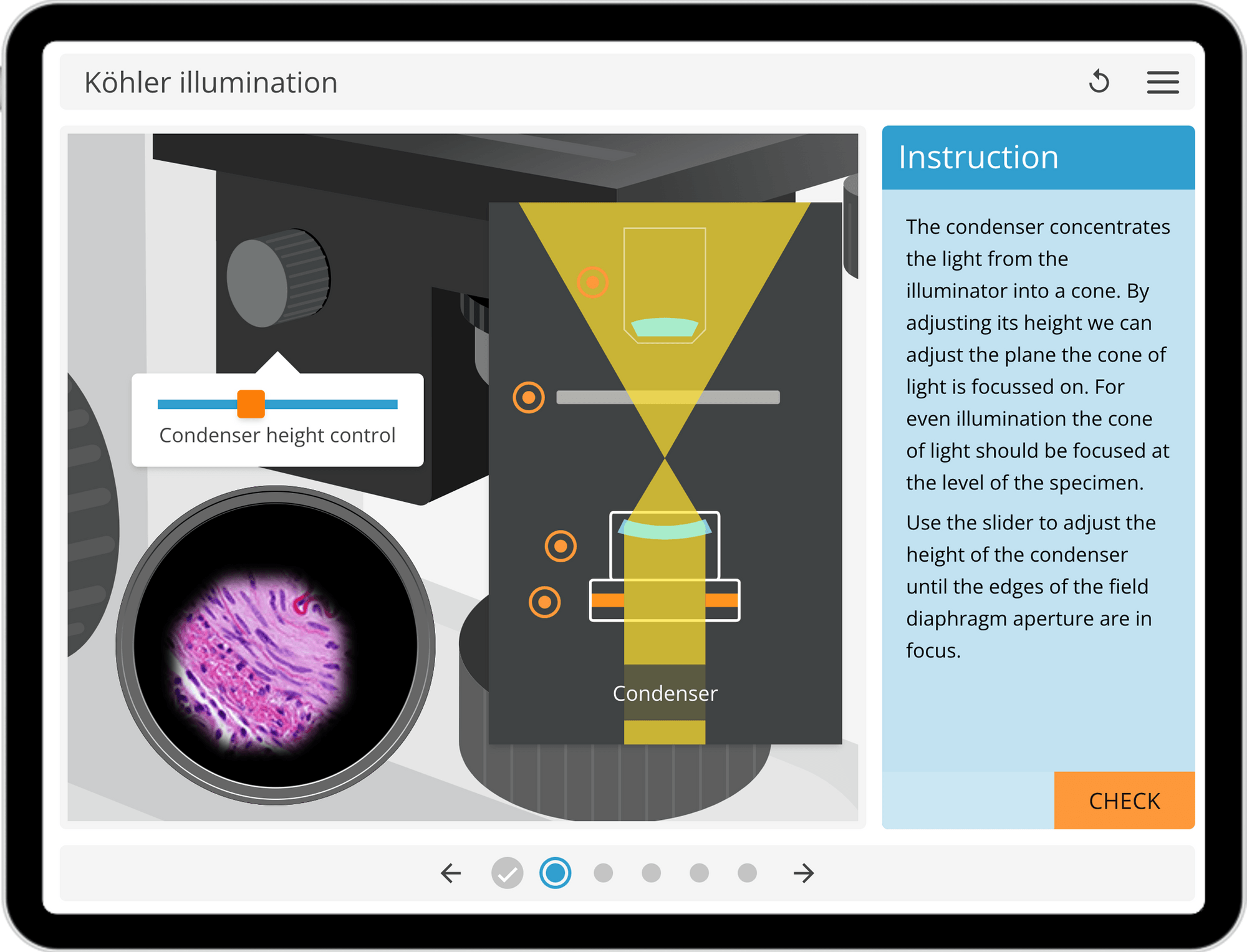 Virtual Lab Simulation Biology & Smart Worksheets - LearnSci
