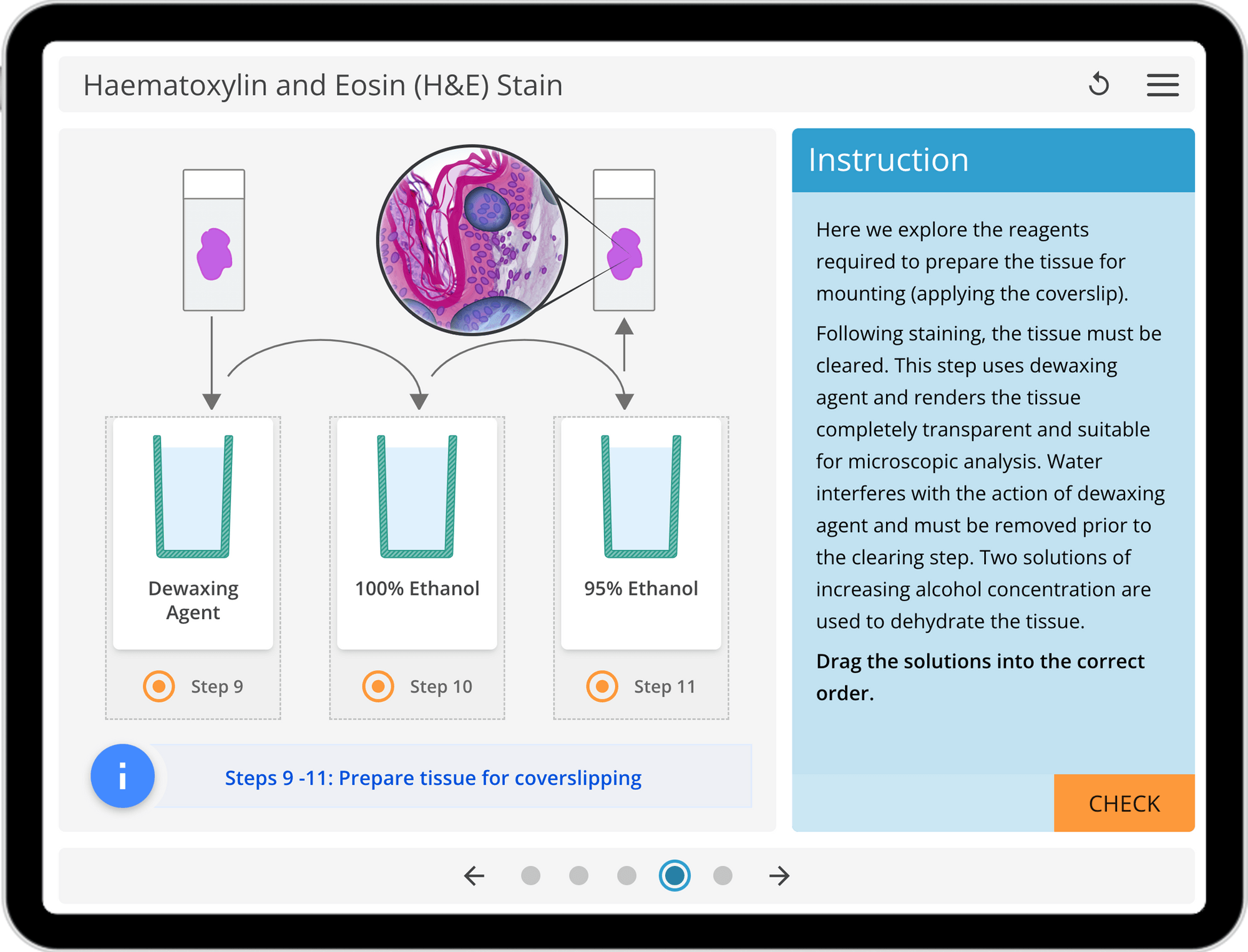 Biomedical Science Lab Simulations & Smart Worksheets - LearnSci