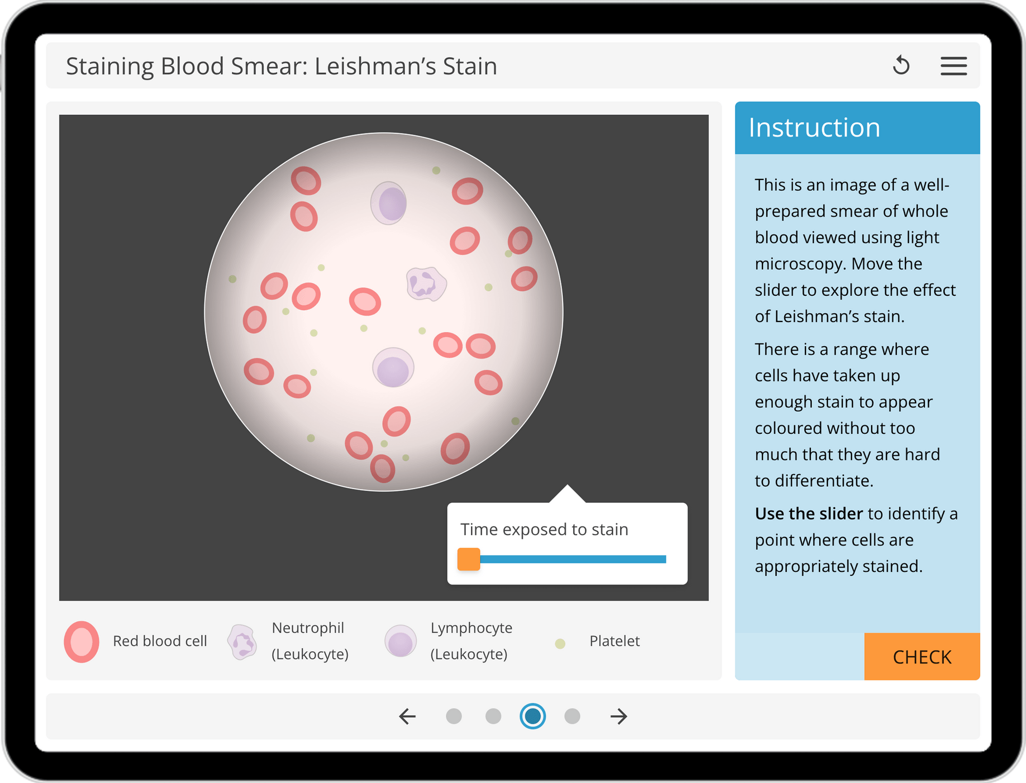 Biomedical Science Lab Simulations & Smart Worksheets - LearnSci
