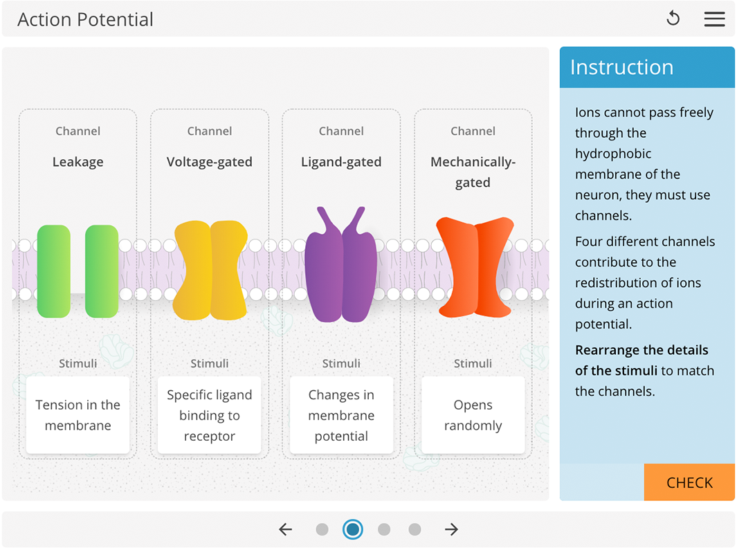 LearnSci LabSim: Action Potential