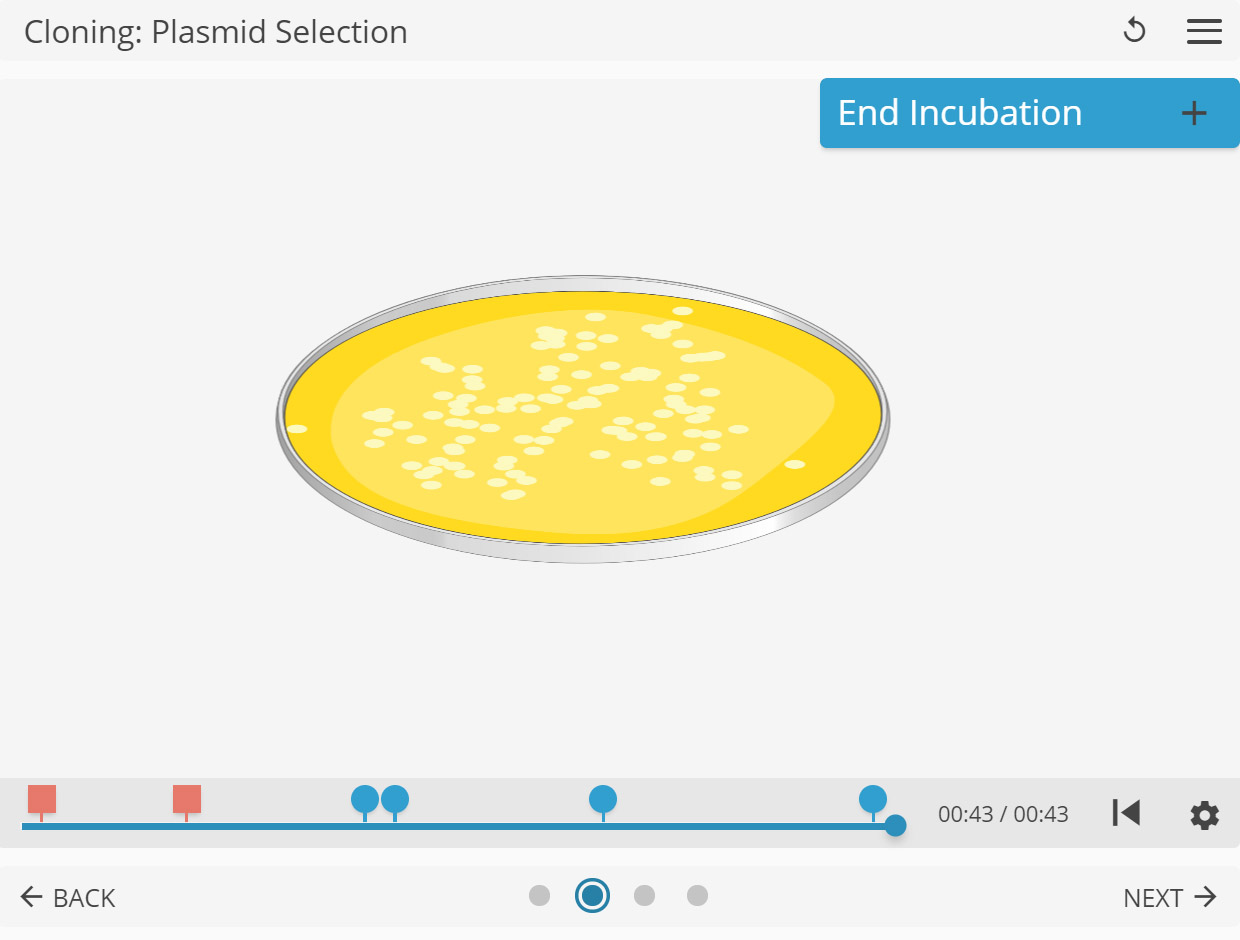 LearnSci LabSim: Cloning: Selection