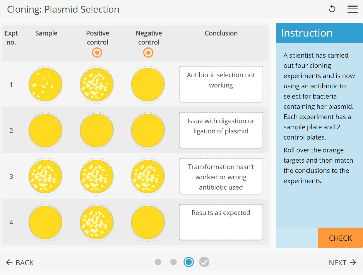 LearnSci LabSim: Cloning: Selection