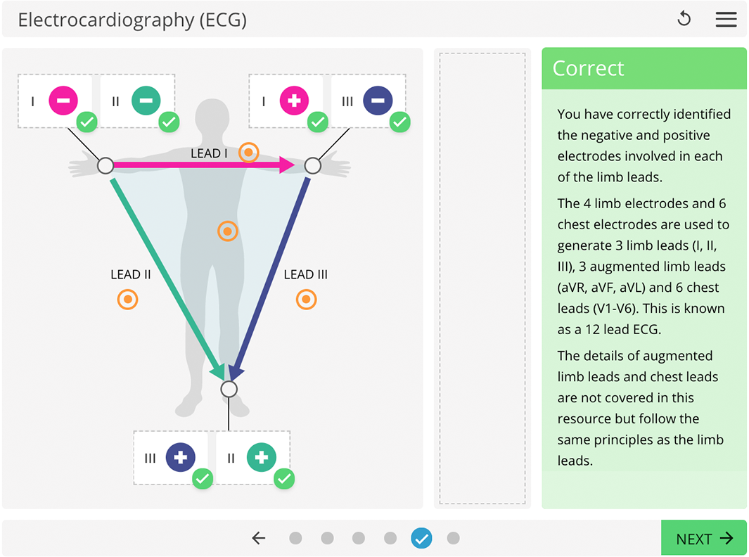 LearnSci LabSim: Electrocardiography (ECG)