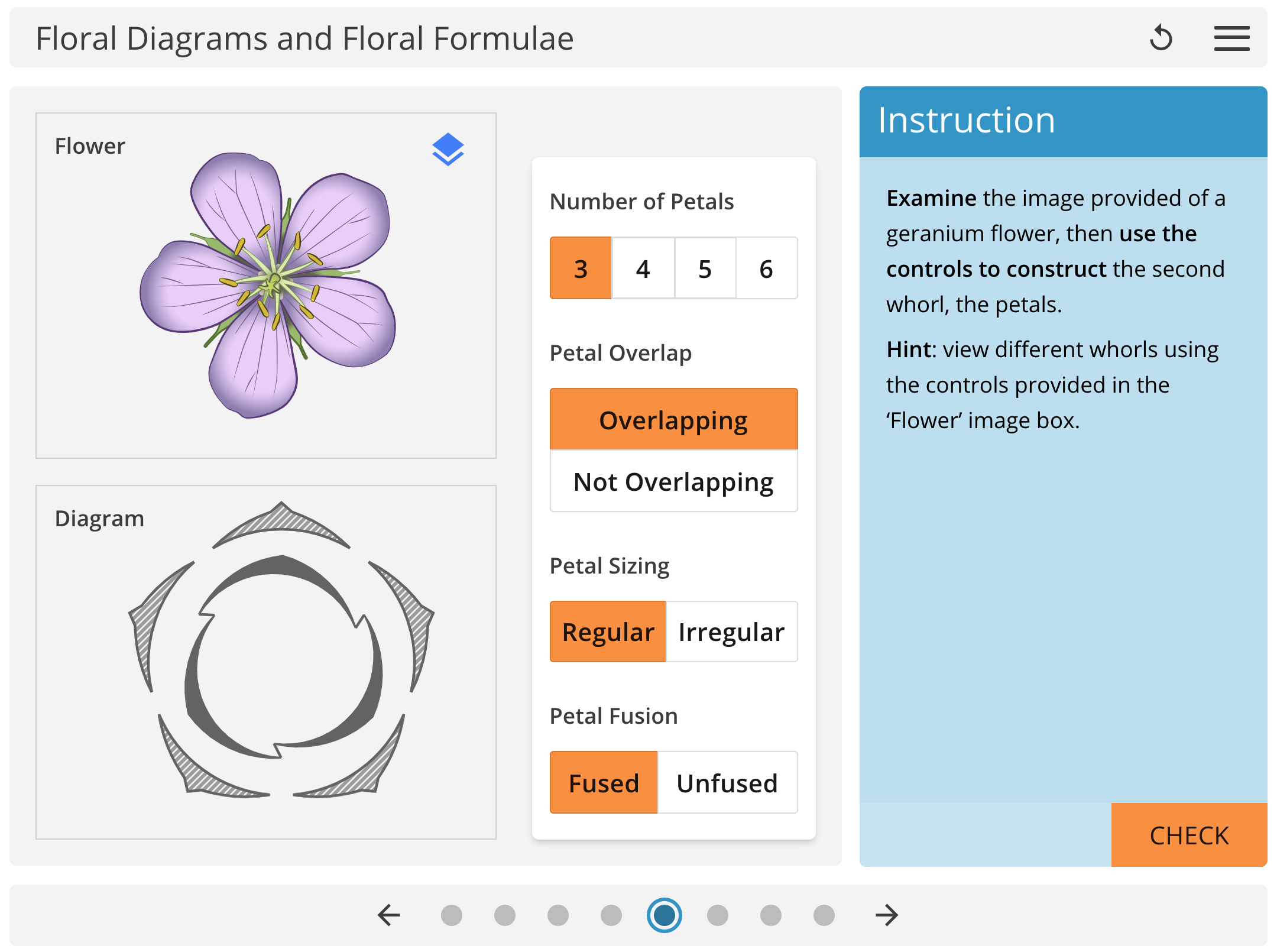 LearnSci LabSim: Floral Diagrams and Floral Formulae
