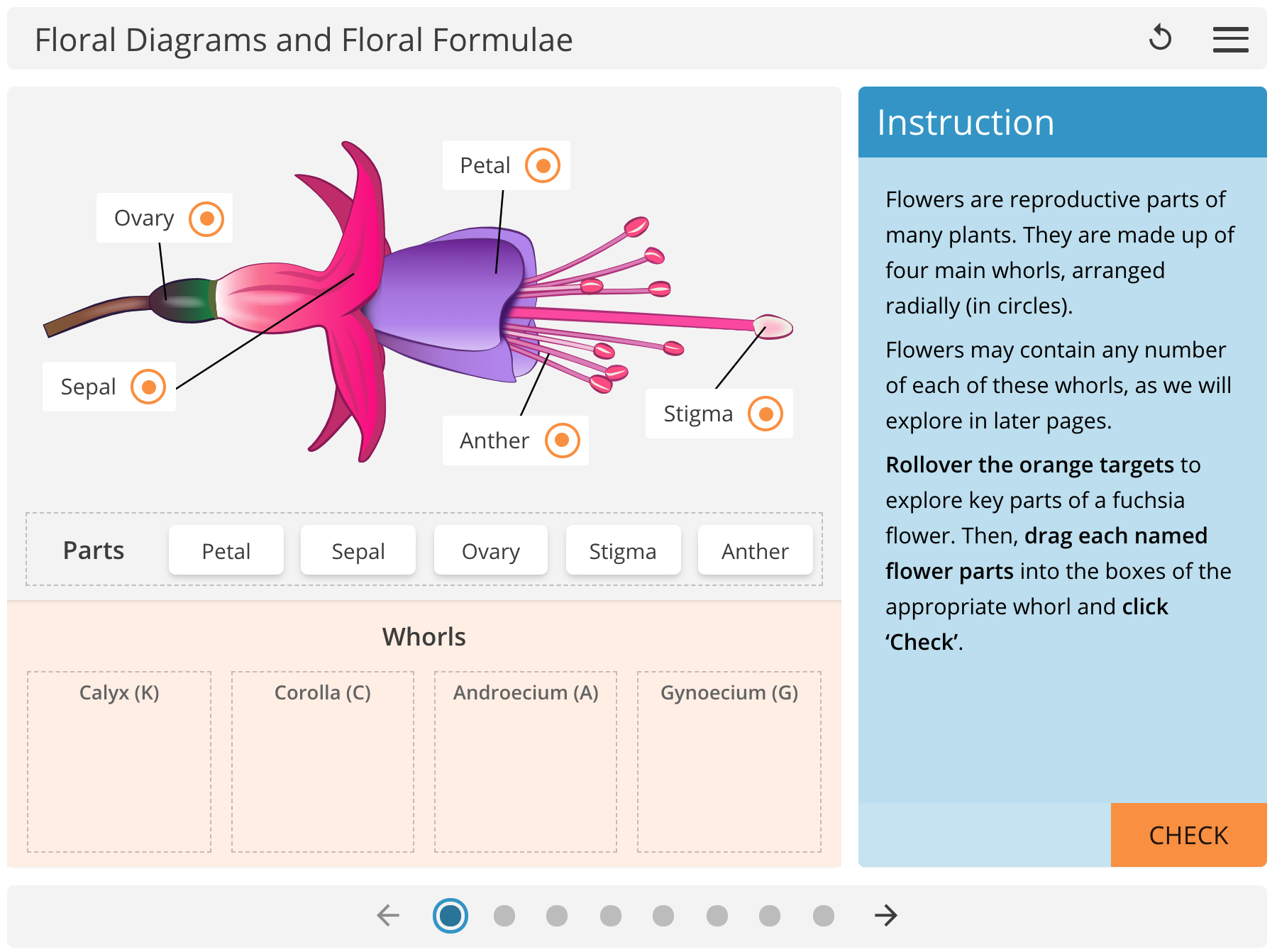 LearnSci LabSim: Floral Diagrams and Floral Formulae