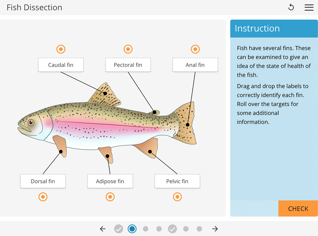 LearnSci LabSim Fish Dissection LearnSci LabSim Fish Dissection
