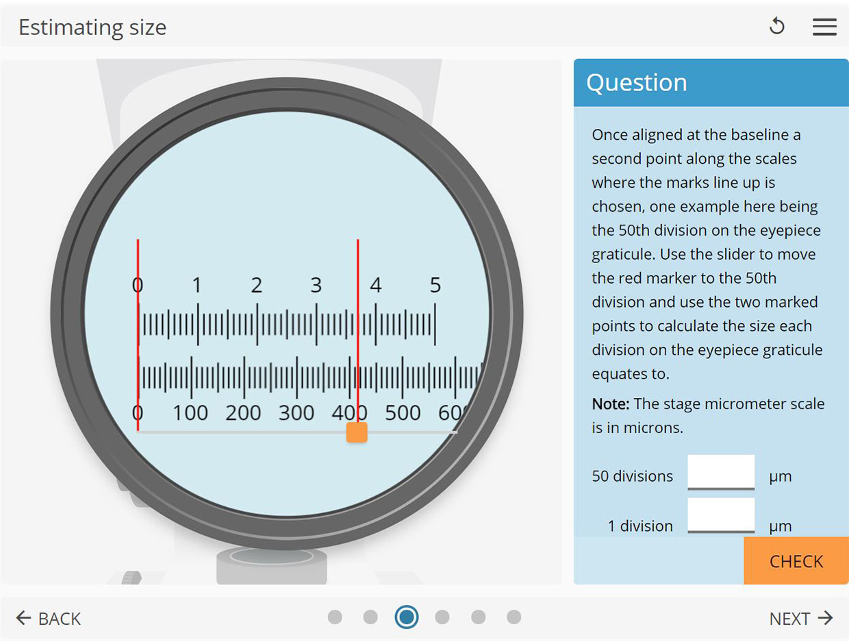 LearnSci LabSim: Estimating Size