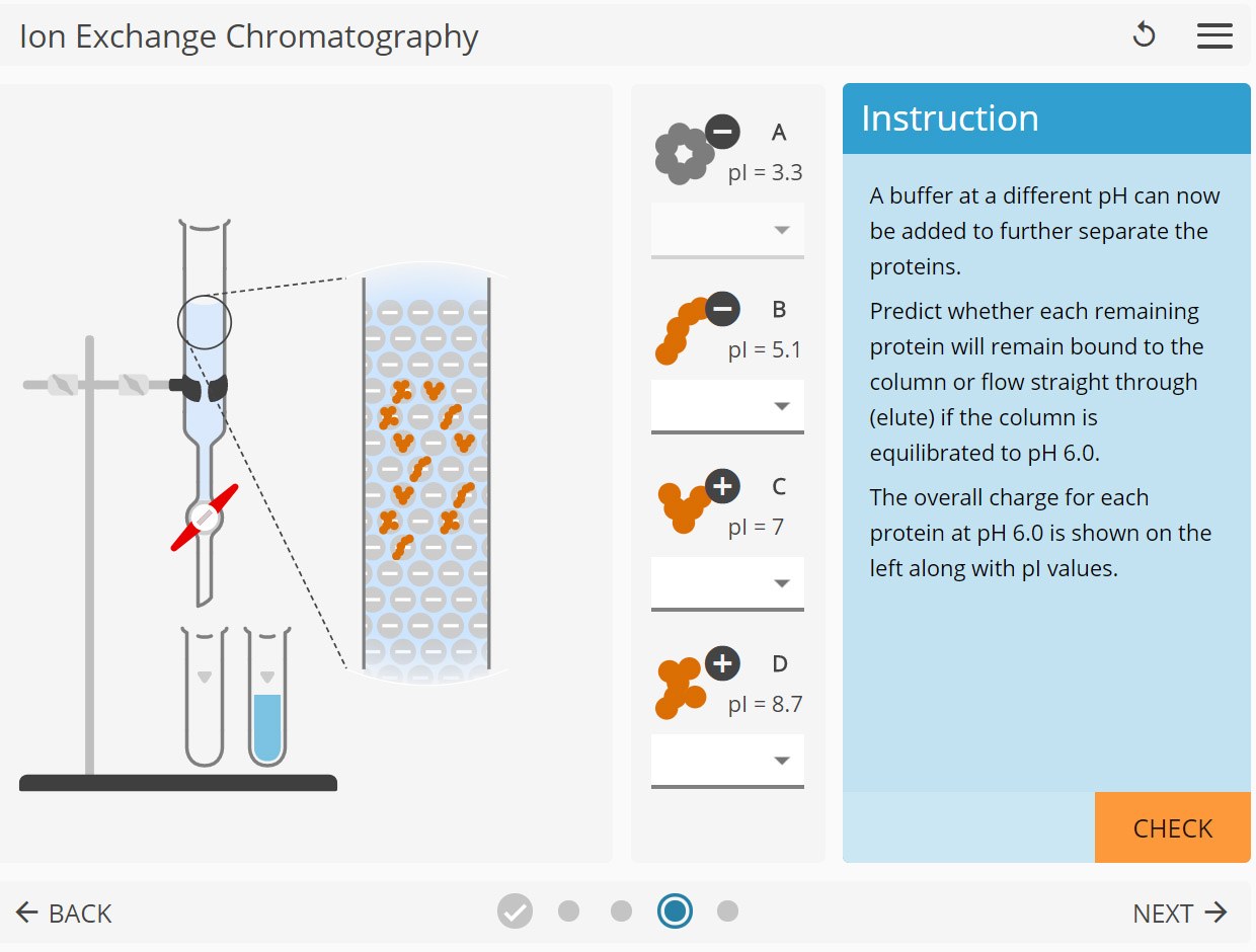 LearnSci LabSim: Ion Exchange Chromatography