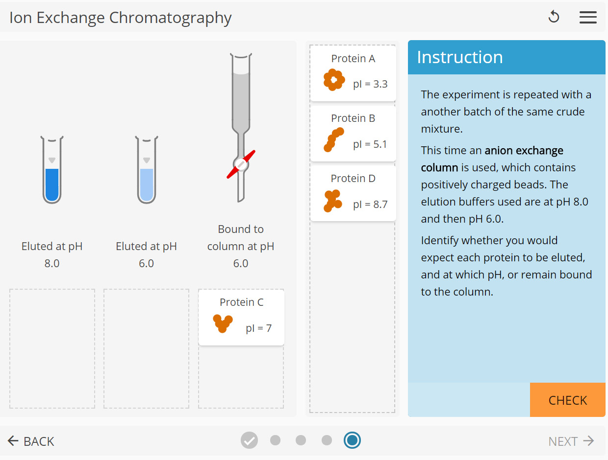 LearnSci LabSim: Ion Exchange Chromatography