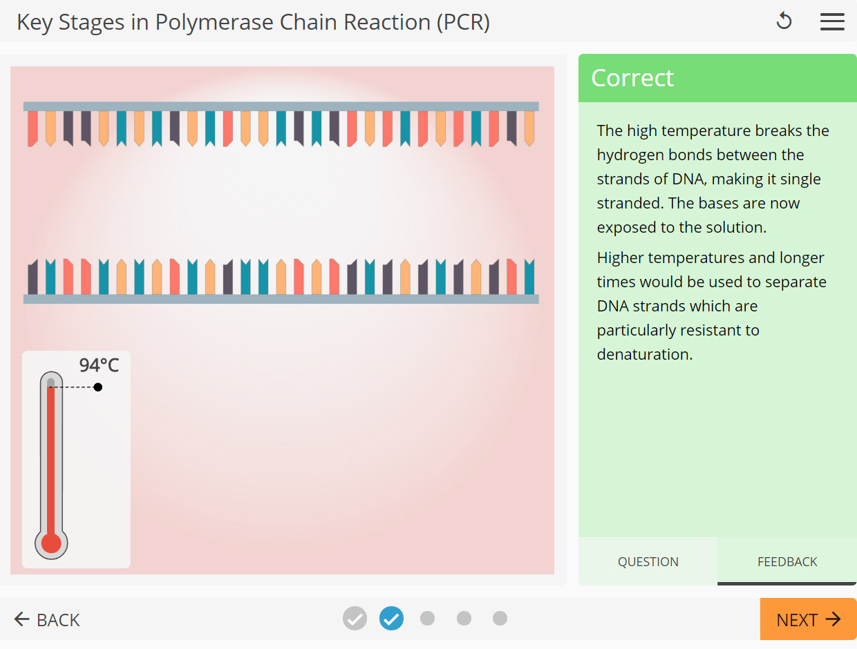 LearnSci LabSim: Key Stages in a Polymerase Chain Reaction (PCR)
