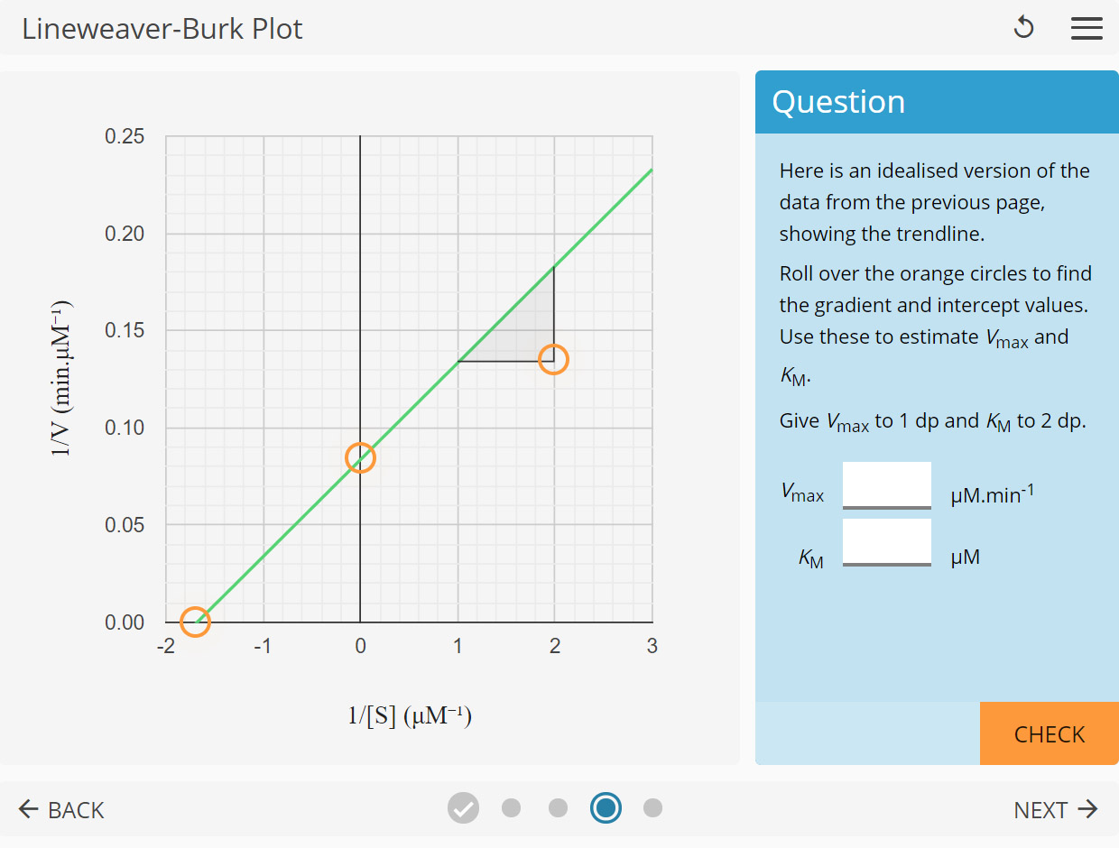 LearnSci LabSim: Lineweaver-Burk Plot