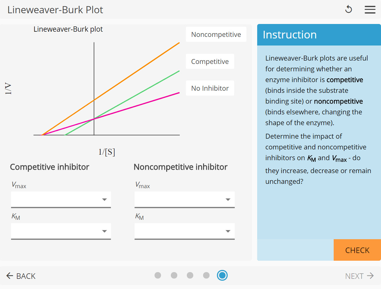 LearnSci LabSim: Lineweaver-Burk Plot
