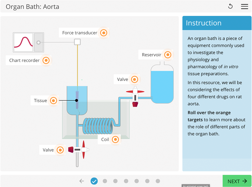 LearnSci LabSim: Organ Bath - Aorta