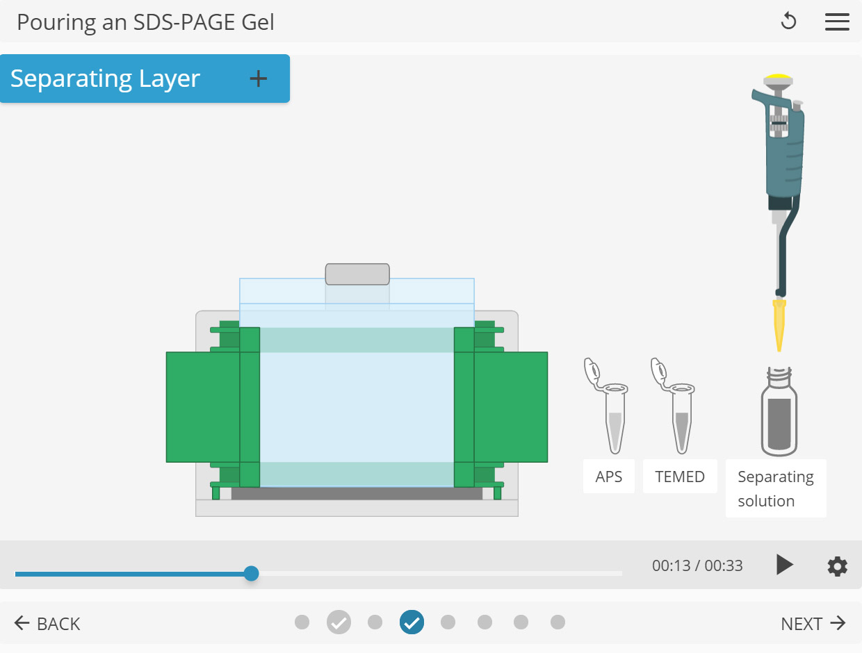 LearnSci LabSim: Pouring an SDS-PAGE Gel