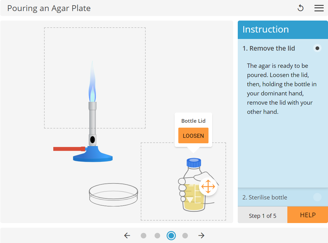 LearnSci LabSim: Pouring an Agar Plate
