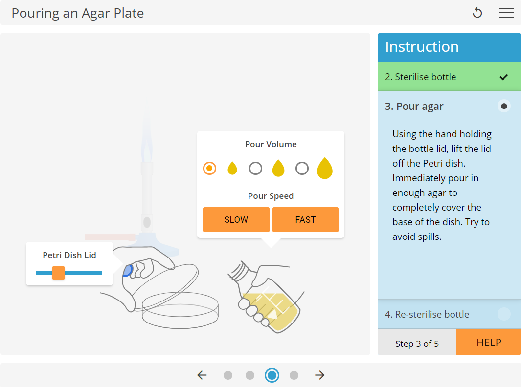 LearnSci LabSim: Pouring an Agar Plate