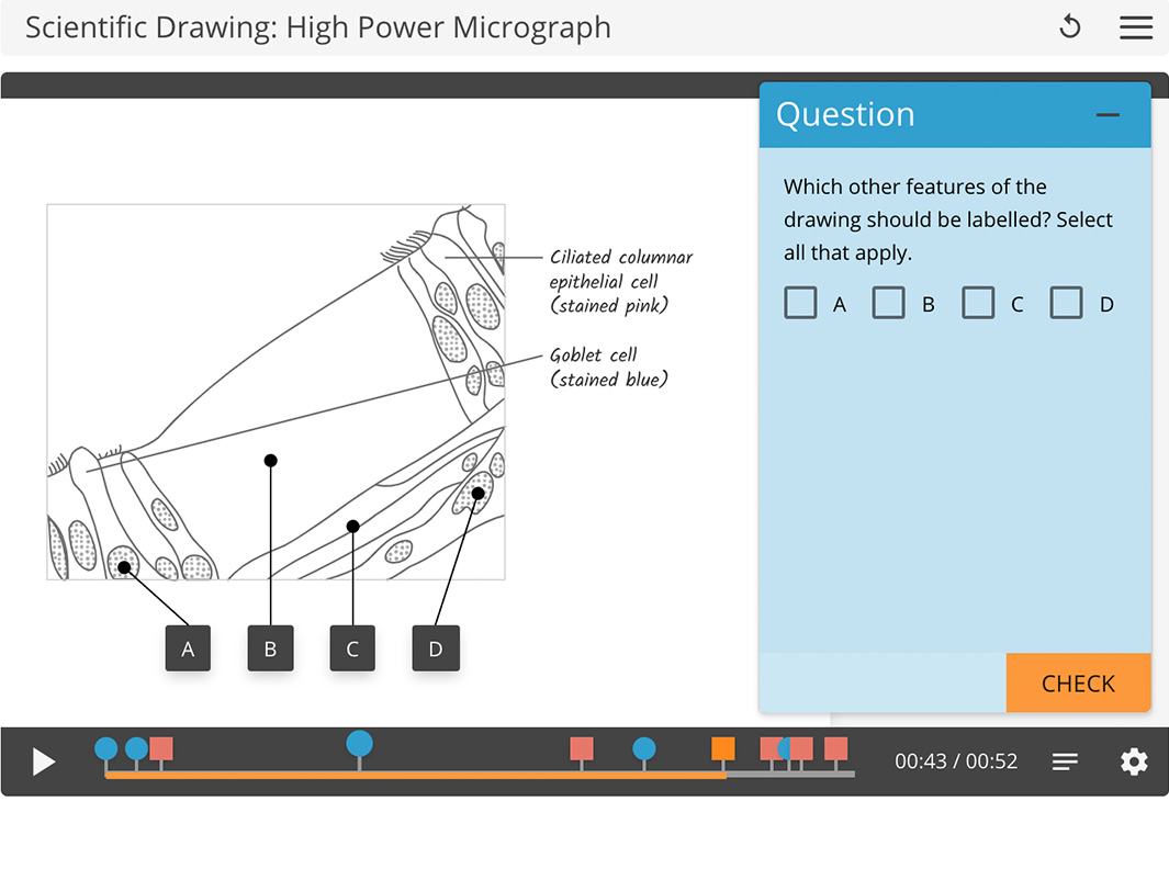 LearnSci LabSim: Scientific Drawing: High Power Micrograph