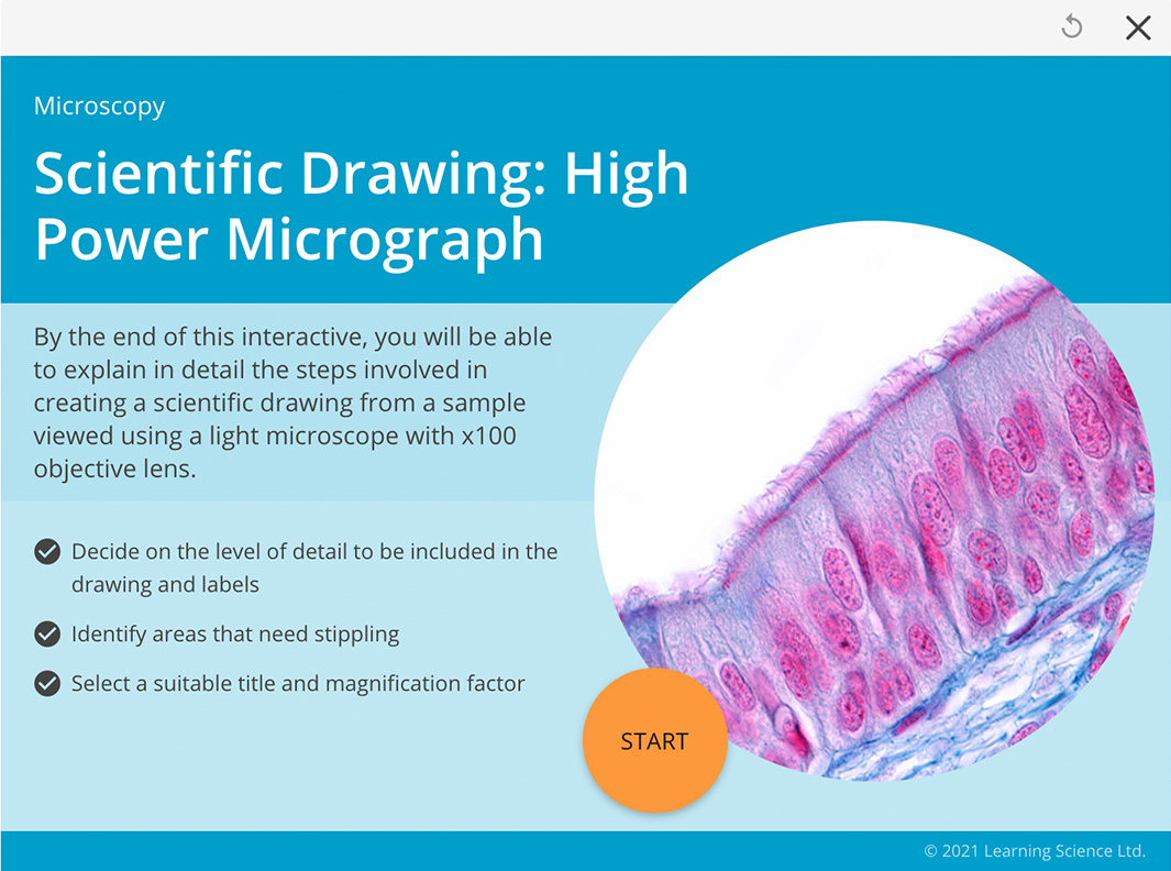 LearnSci LabSim: Scientific Drawing: High Power Micrograph