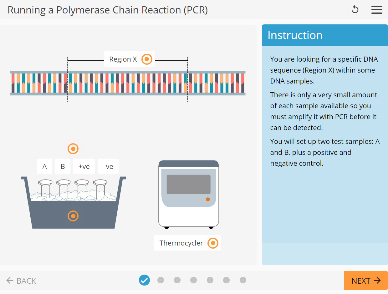 LearnSci LabSim: Running a Polymerase Chain Reaction (PCR)