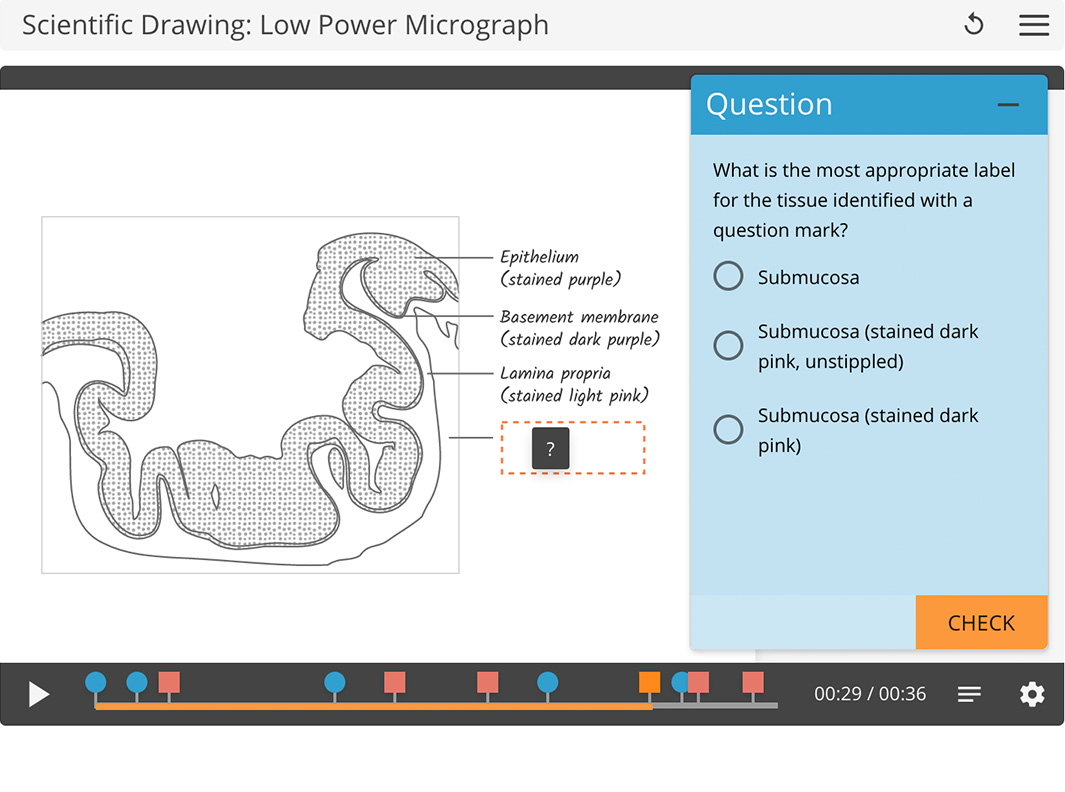 LearnSci LabSim: Scientific Drawing: Low Power Micrograph