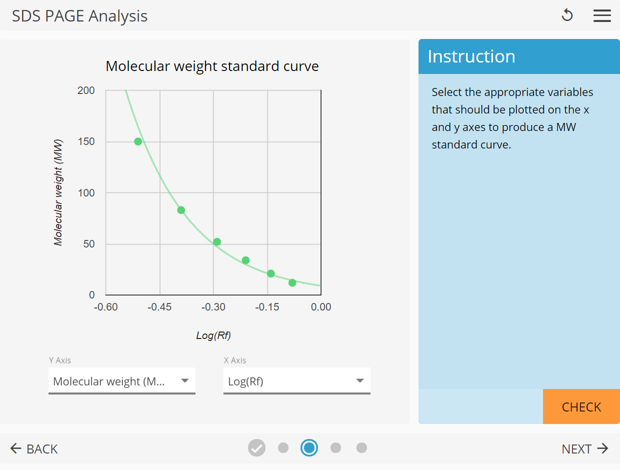 LearnSci LabSim: SDS-PAGE Analysis