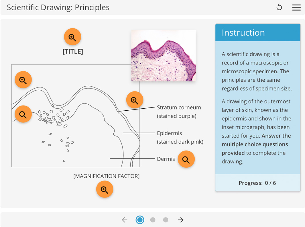 LearnSci LabSim: Scientific Drawing: Principles