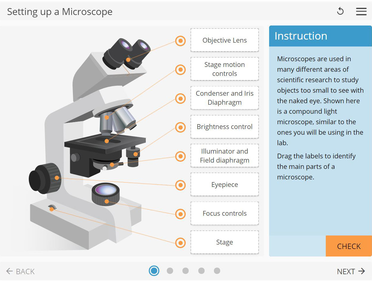 LearnSci LabSim: Setting up a Microscope