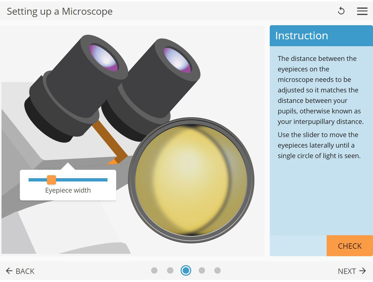 LearnSci LabSim: Setting up a Microscope