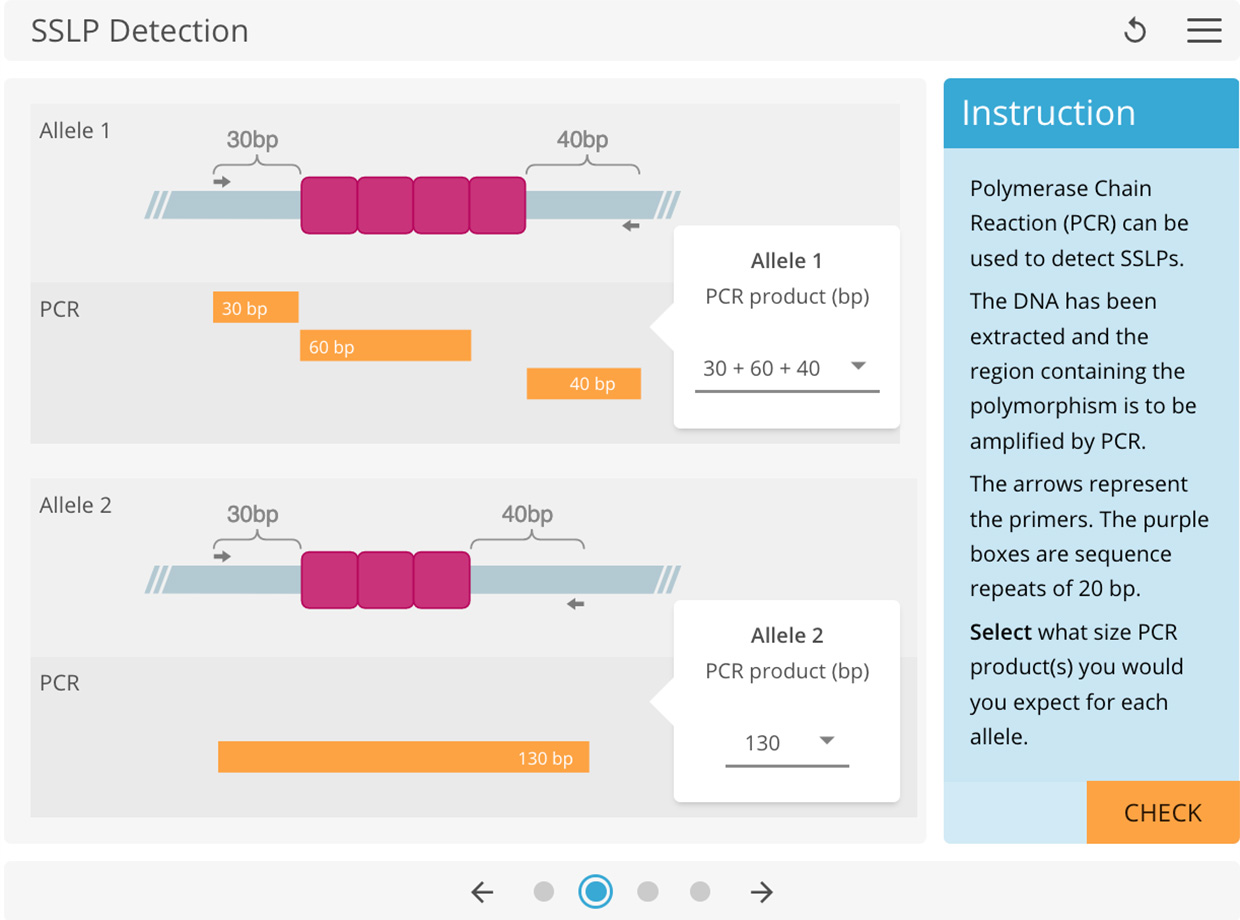 LearnSci LabSim: SSLP Detection