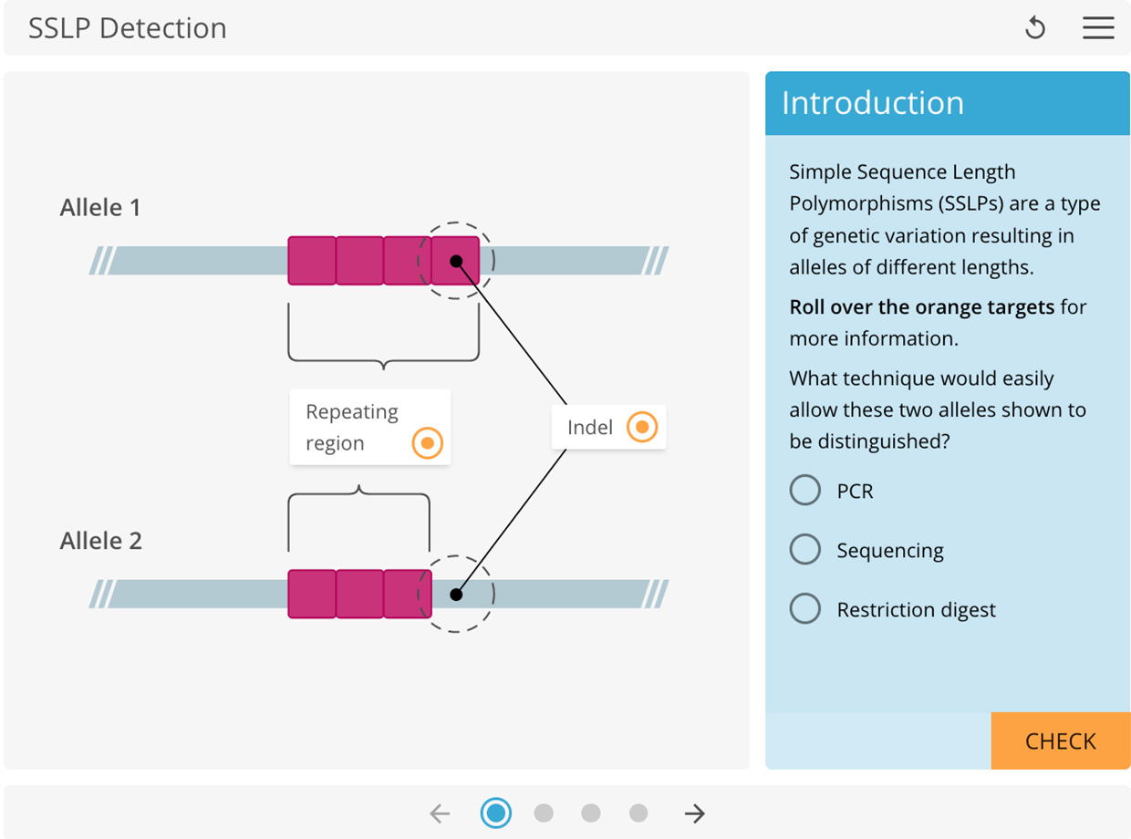 LearnSci LabSim: SSLP Detection