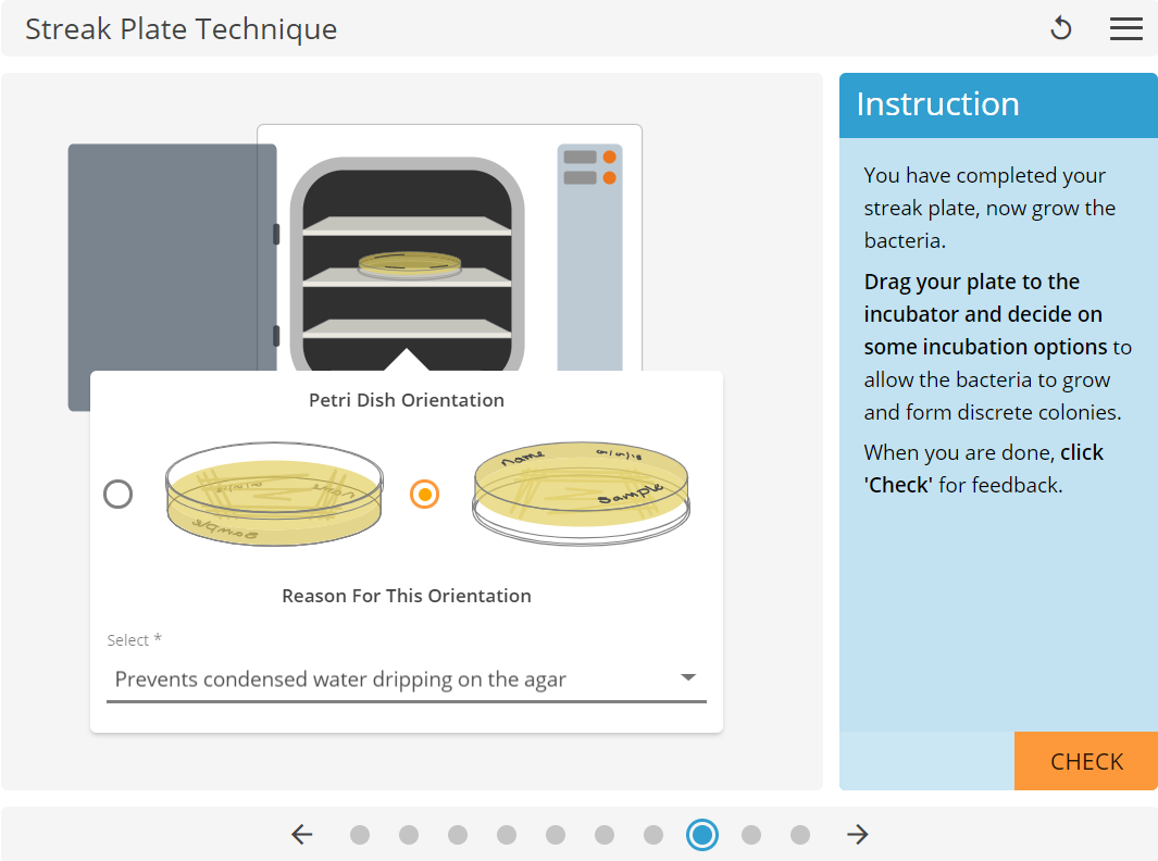 LearnSci LabSim: Streak Plate Technique