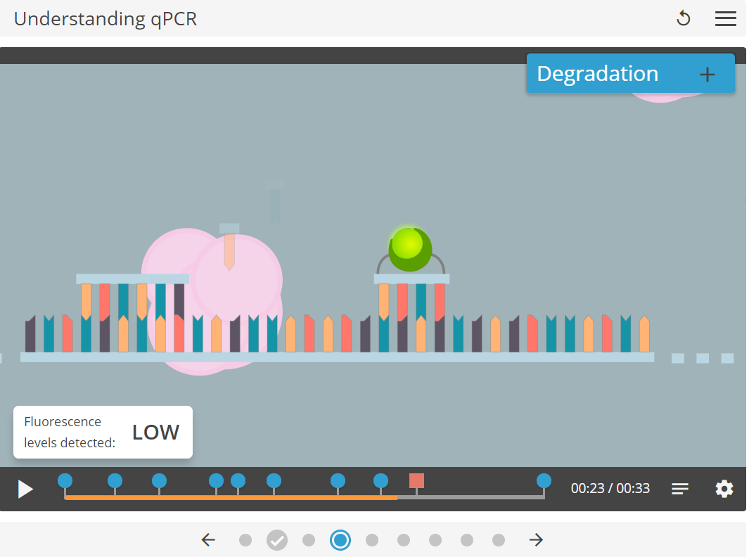 LearnSci LabSim: Understanding qPCR
