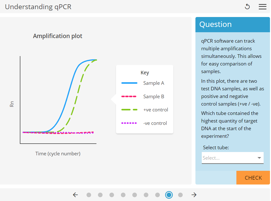 LearnSci LabSim: Understanding qPCR
