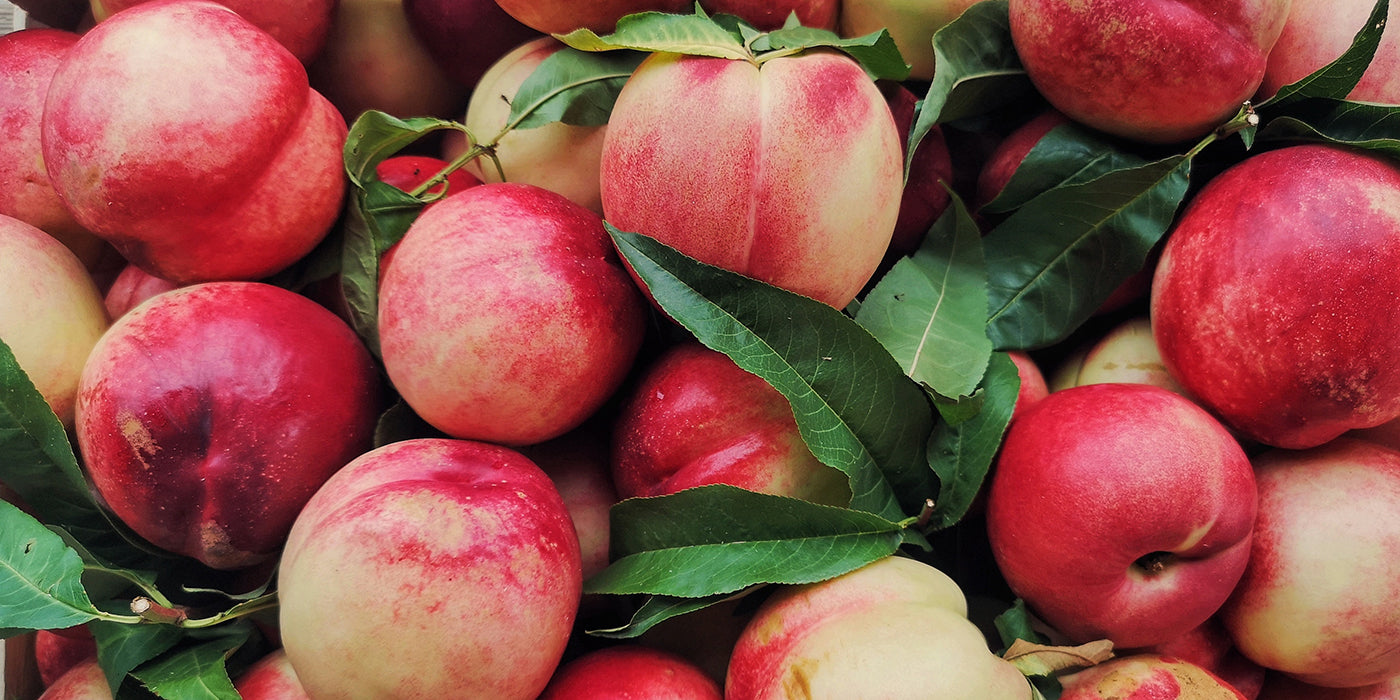 Four Delicious Nectarine Recipes to Enjoy this Fall
