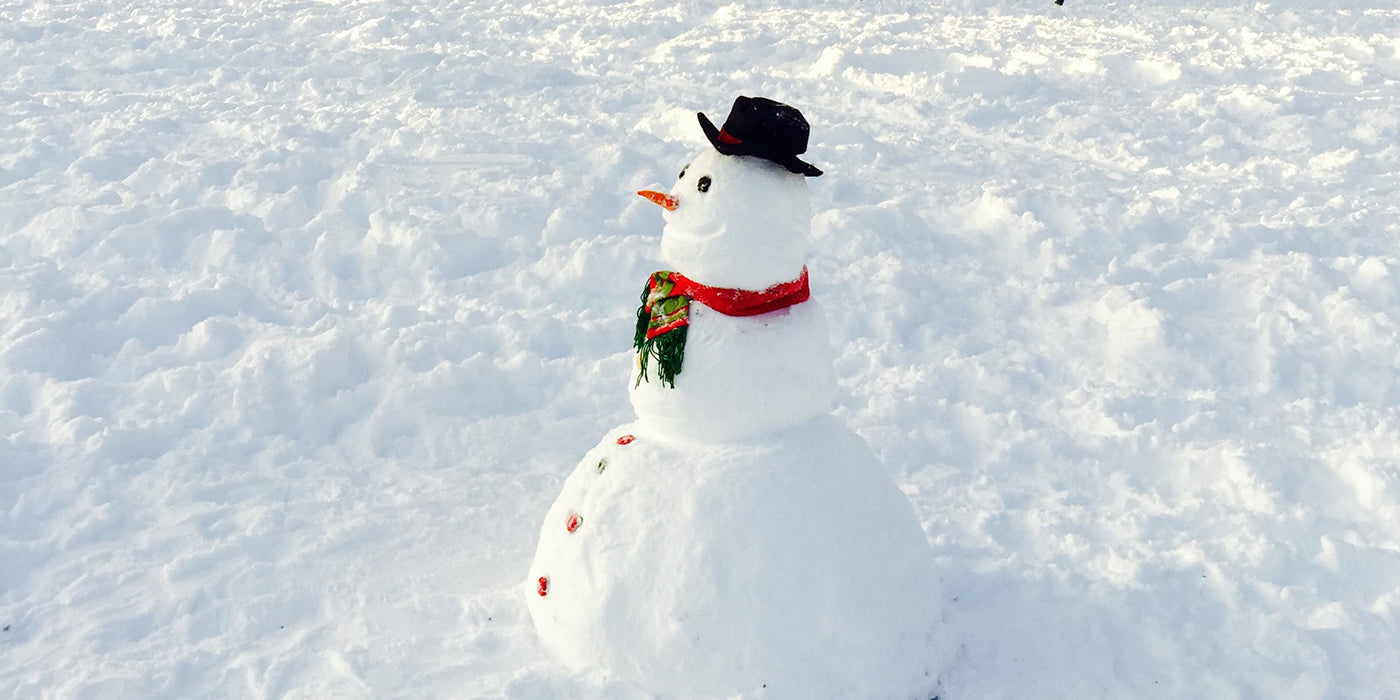 Do You Want to Build a Snowman… for Fitness?
