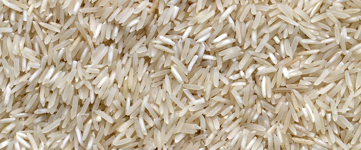 New Breed May Put White Rice Back on Your Table