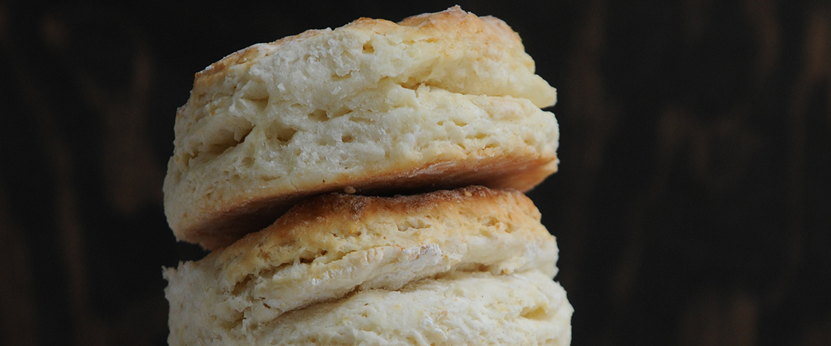 Four Biscuit Recipes to Love